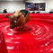 Premium Mechanical Bull Package – USA Mechanical Bulls